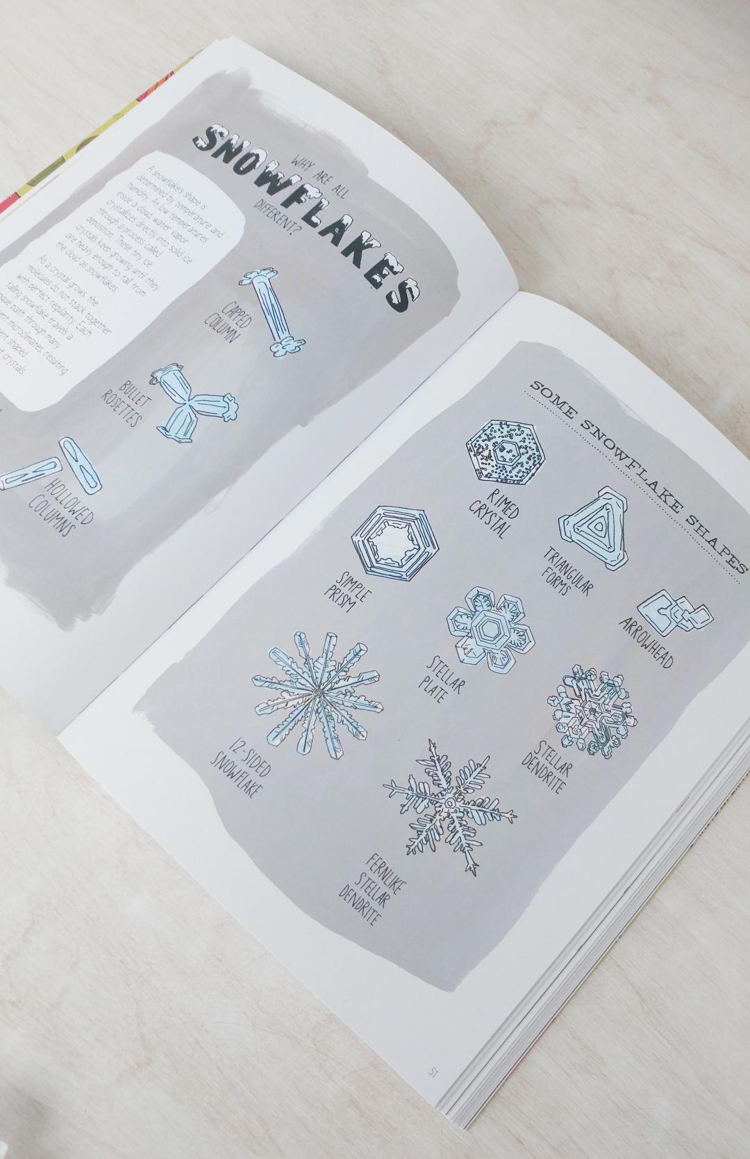 Snowflake unit study with Book and Craft ideas | Reaching Happy