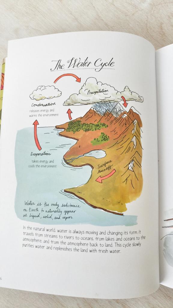Weather study with crafts, books and activities | Reaching Happy